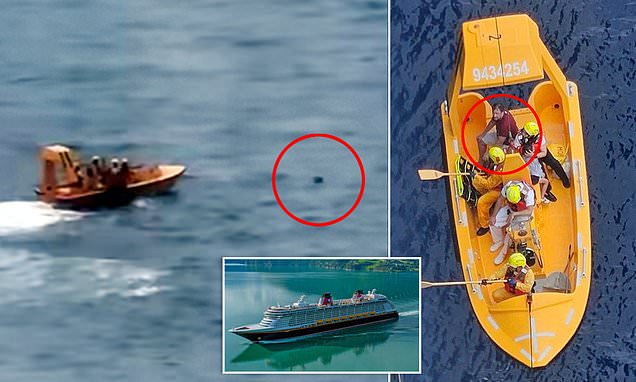 Child falls overboard on Disney Cruise, rescued by crew members ...